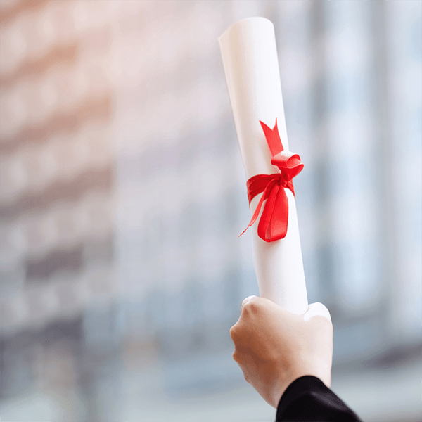 PhD in Denmark for International Students